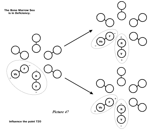 Treatment of Insulin-Dependent and Insulin-Independent Diabetes in Each ...